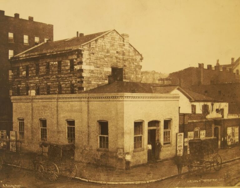 St. Louis in the 1870s: A Decade of Transformation through Fascinating ...