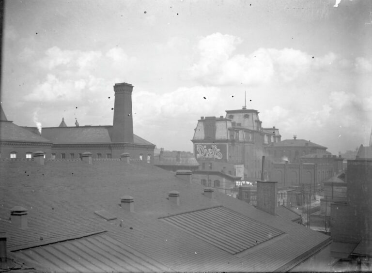 What St. Louis looked like in the 1900s through these Spectacular ...