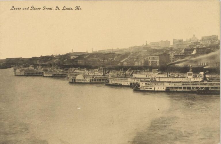 What St. Louis looked like in the 1900s through these Spectacular ...