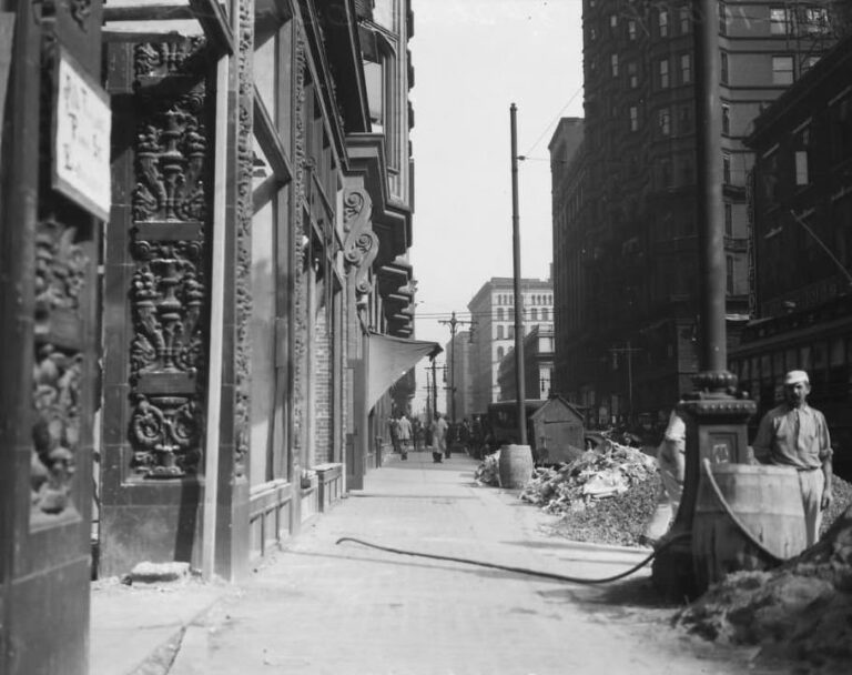 St. Louis in the 1920s: A Photographic Tour of Streets, Landmarks and ...