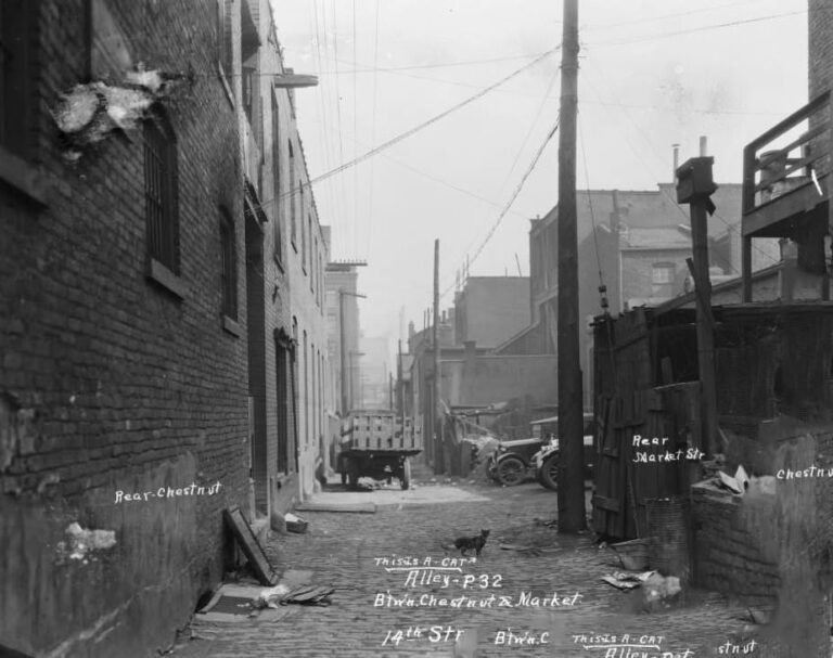 St. Louis in the 1920s: A Photographic Tour of Streets, Landmarks and ...