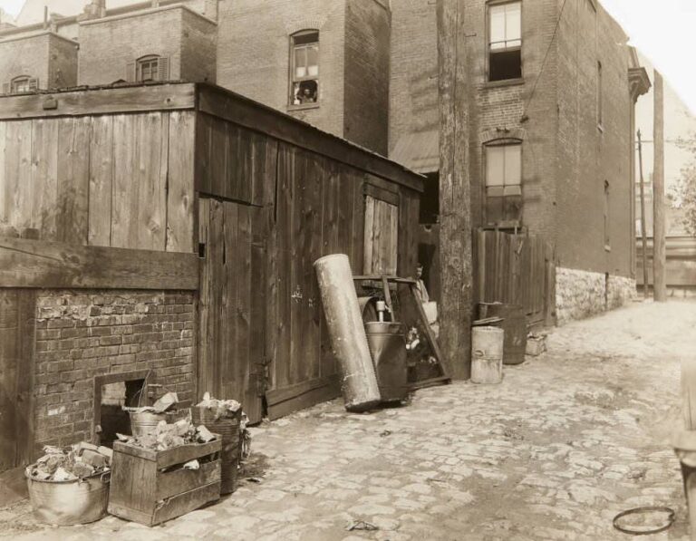 St. Louis in the 1920s: A Photographic Tour of Streets, Landmarks and ...